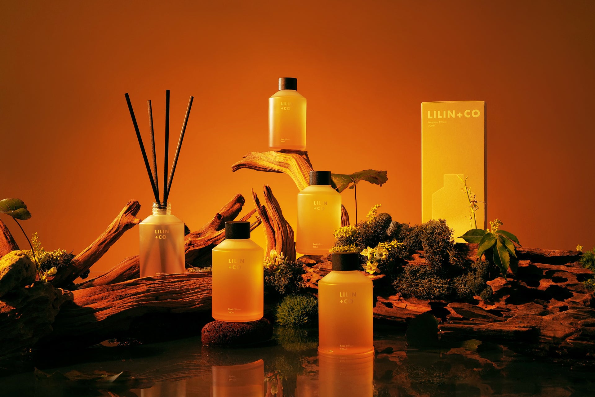 Lilin+Co | Artisanal Candles and Modern Fragrance Goods